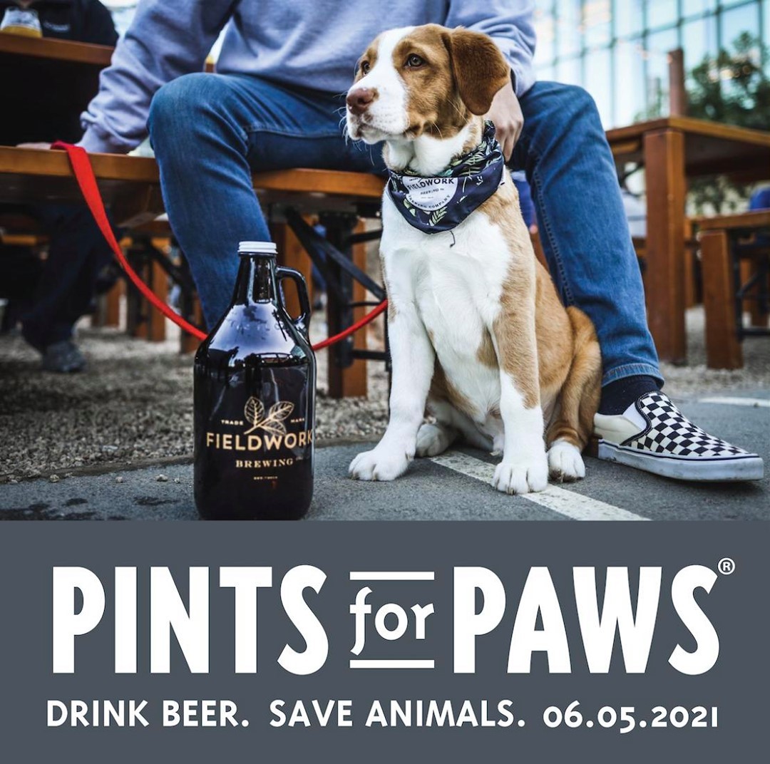 Celebrate Pints for Paws® with Fieldwork Brewing at Bay Meadows: San Mateo